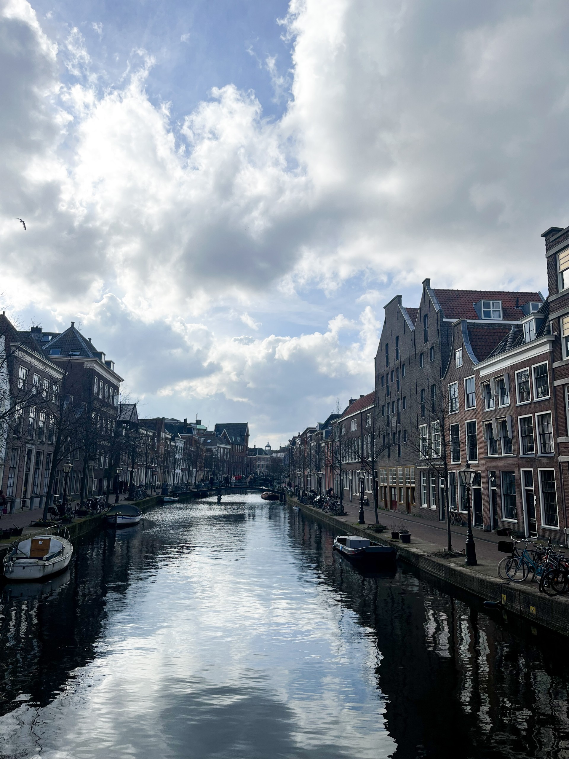 Op kamers in Leiden: zo pak je het aan | Hogeschool Leiden